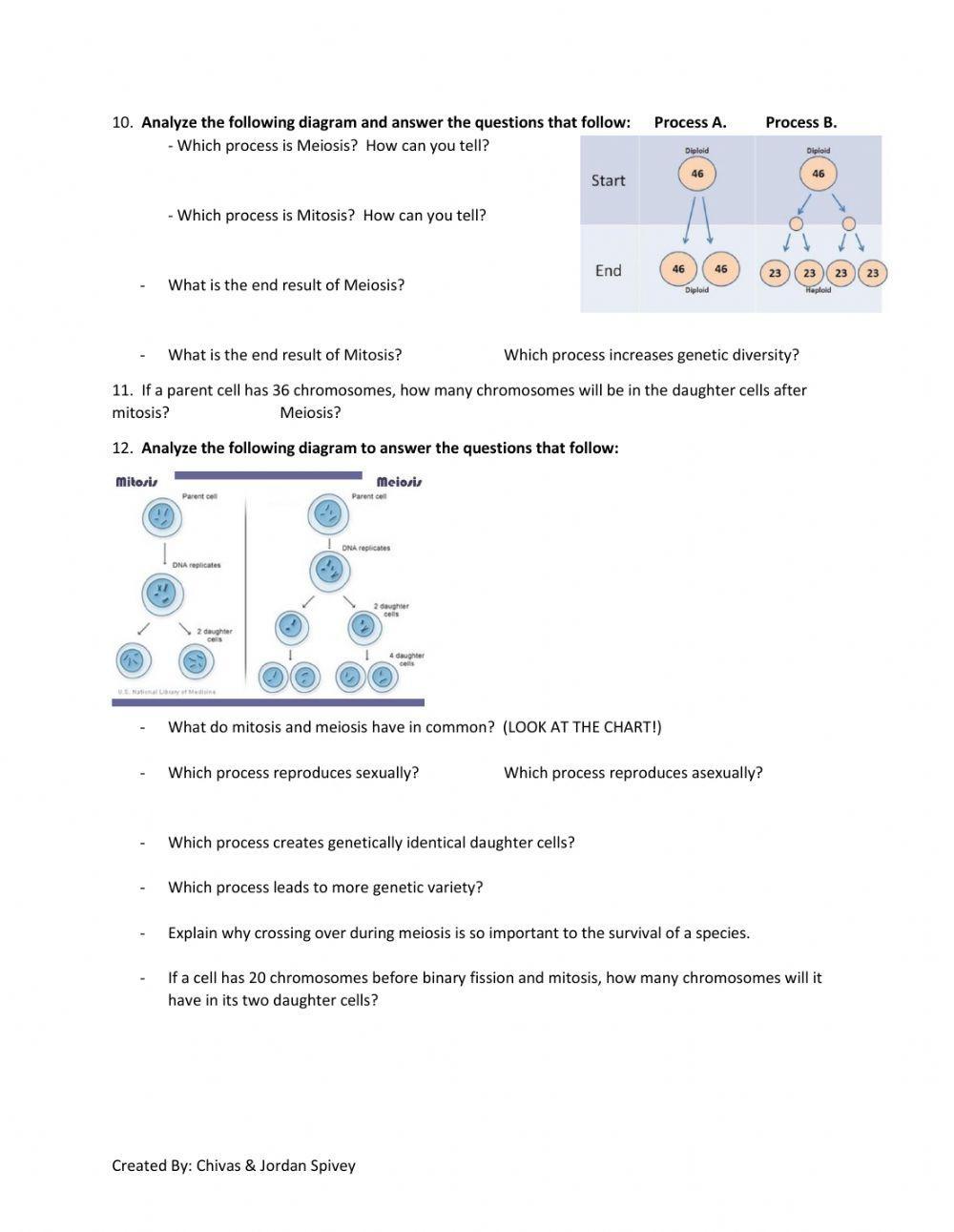 Cellular Energy… | Science Worksheets | 454471