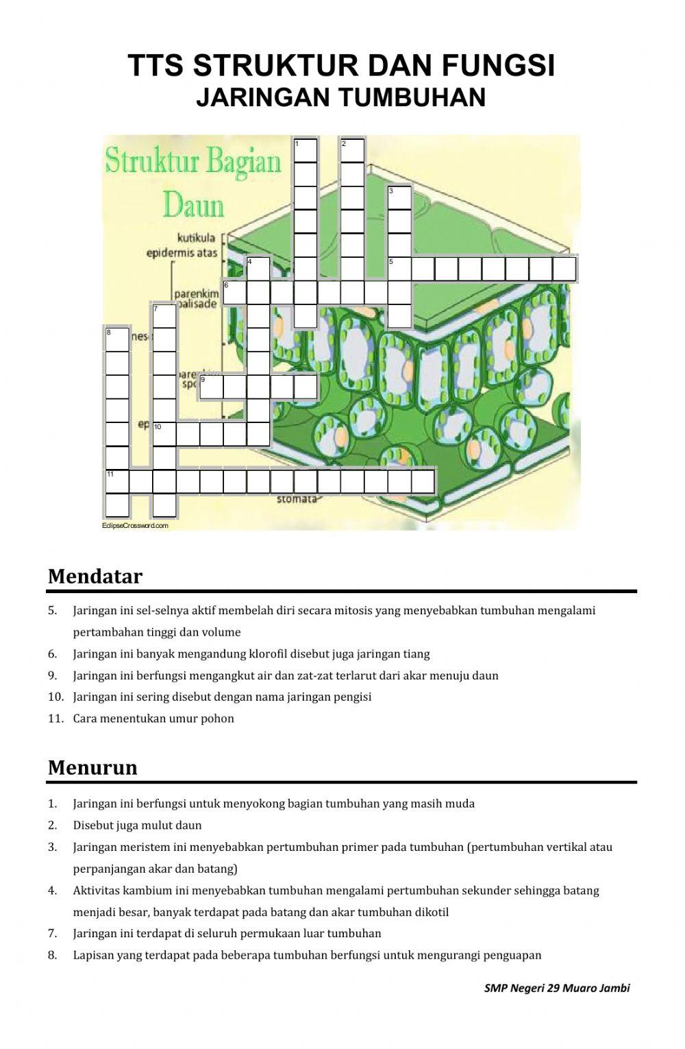 Puzzle IPA worksheet | Live Worksheets