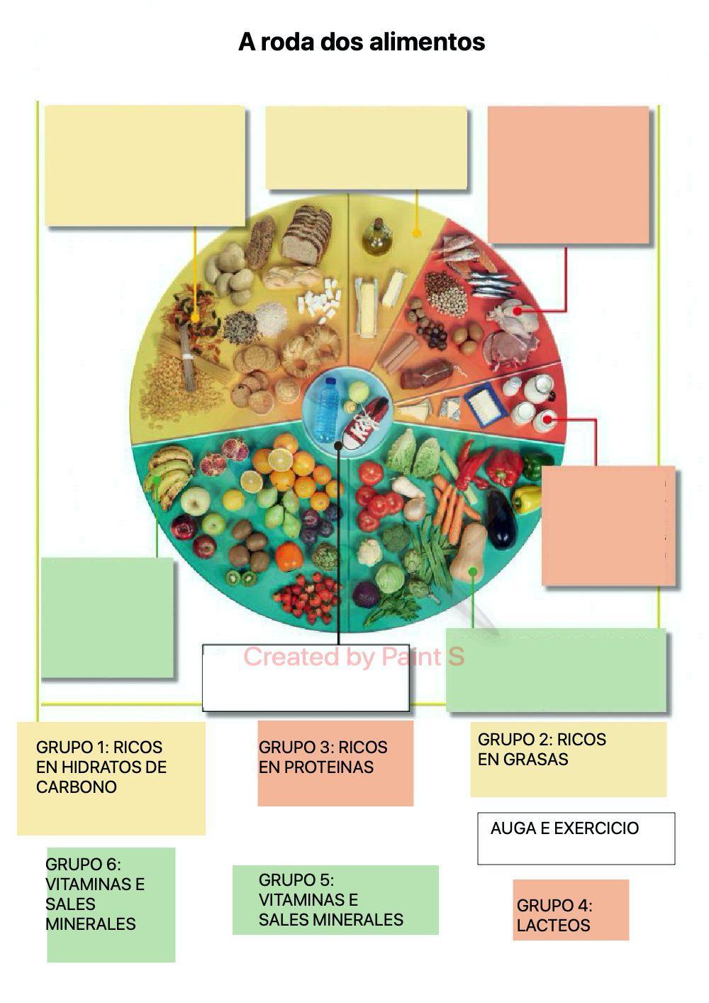 Roda alimentos | Free Interactive Worksheets | 501023