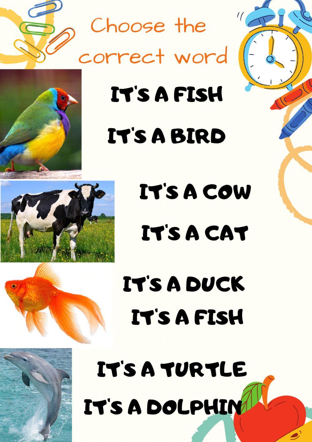 Choose animals worksheet | Live Worksheets