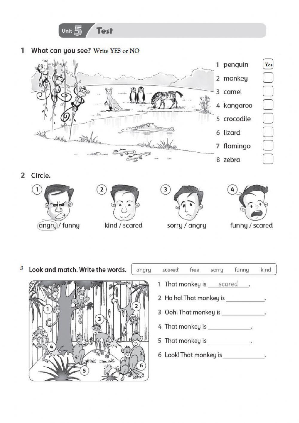 FF3-unit 5 6100384 | missmiki | LiveWorksheets