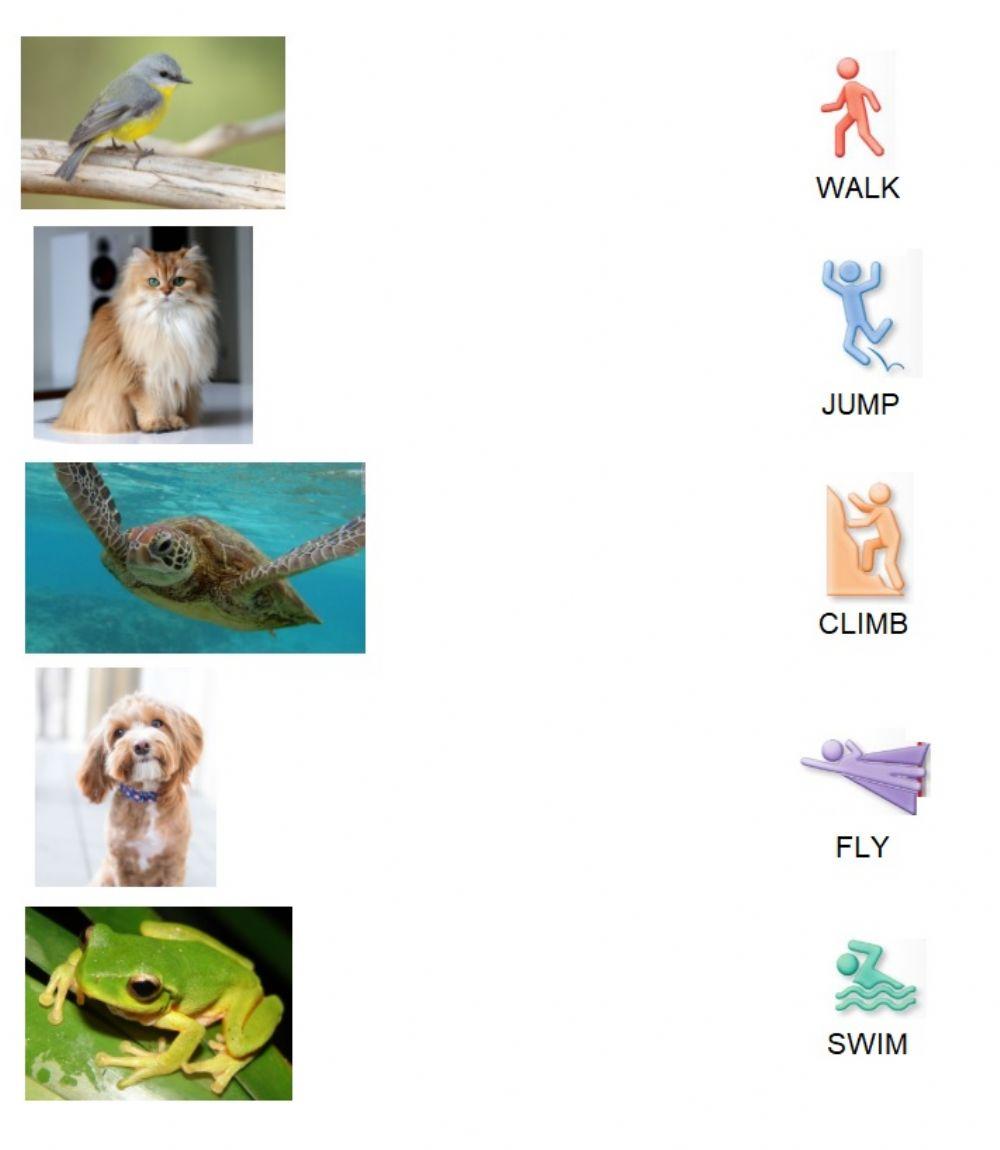 Animal actions | Free Interactive Worksheets | 6188321