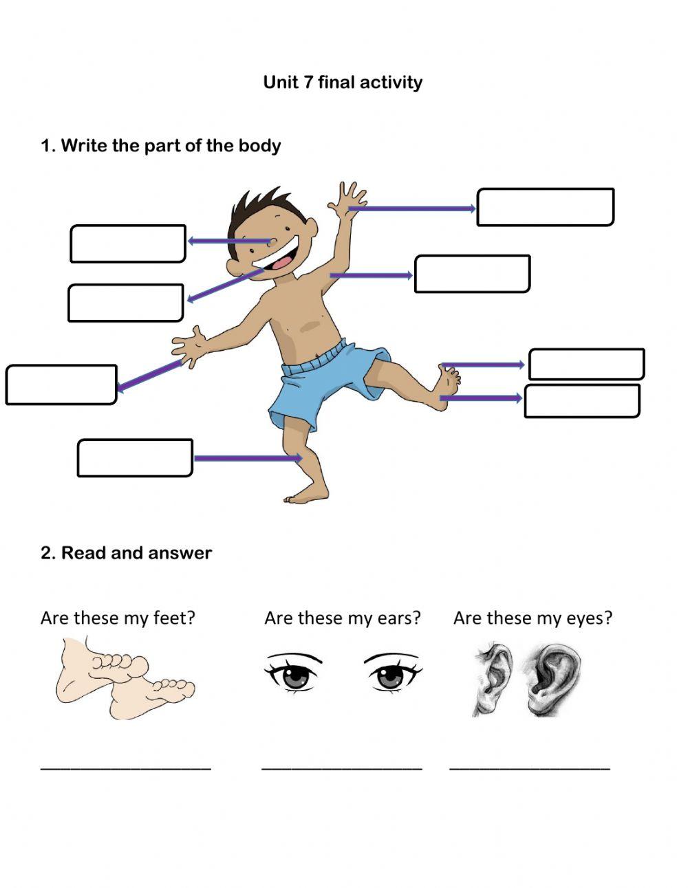 6188421 | kids 2 Unit7 Final Activity | Nat24