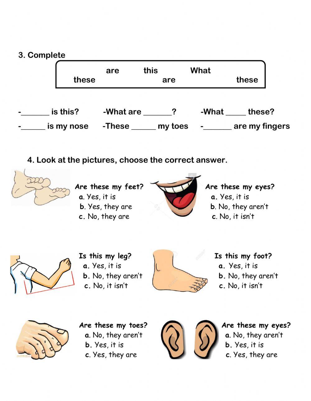 6188421 | kids 2 Unit7 Final Activity | Nat24