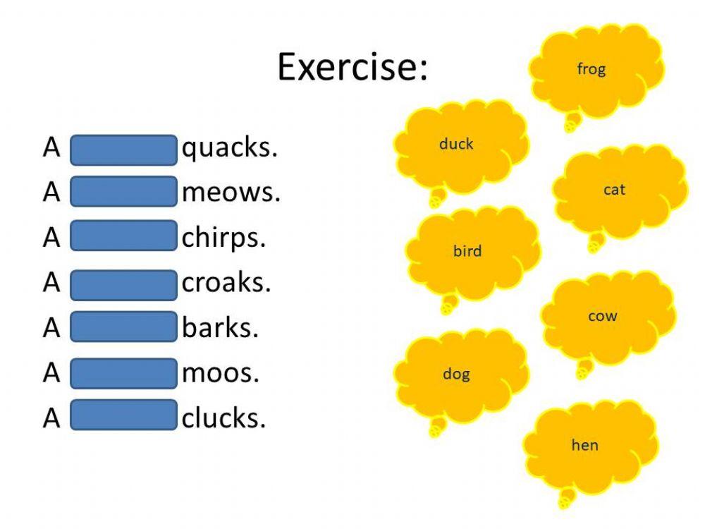 English Year 1 exercise | Live Worksheets