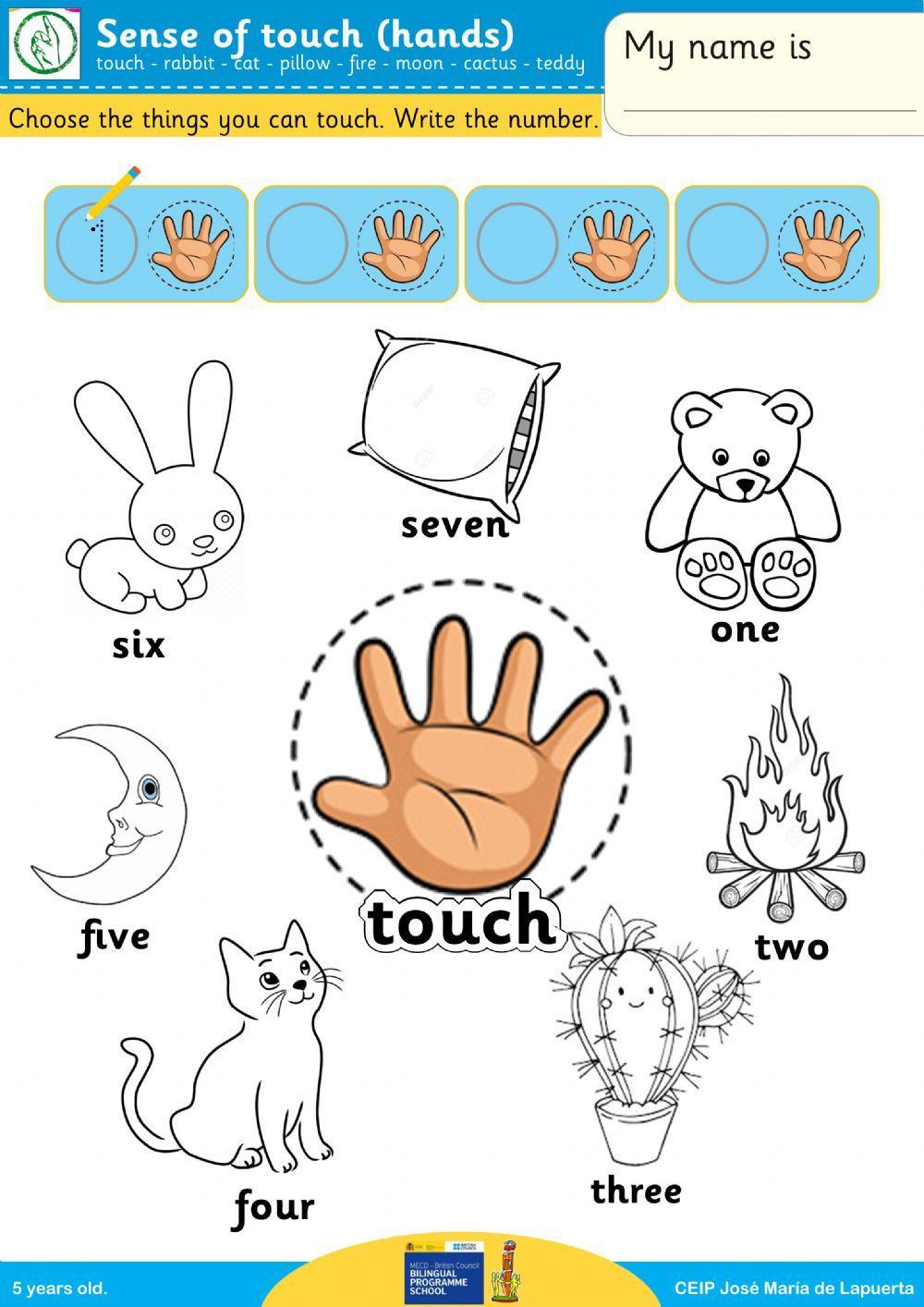 Sense Of Touch Interactive Worksheet Live Worksheets sense-of-touch-interactive-worksheet-live-worksheets