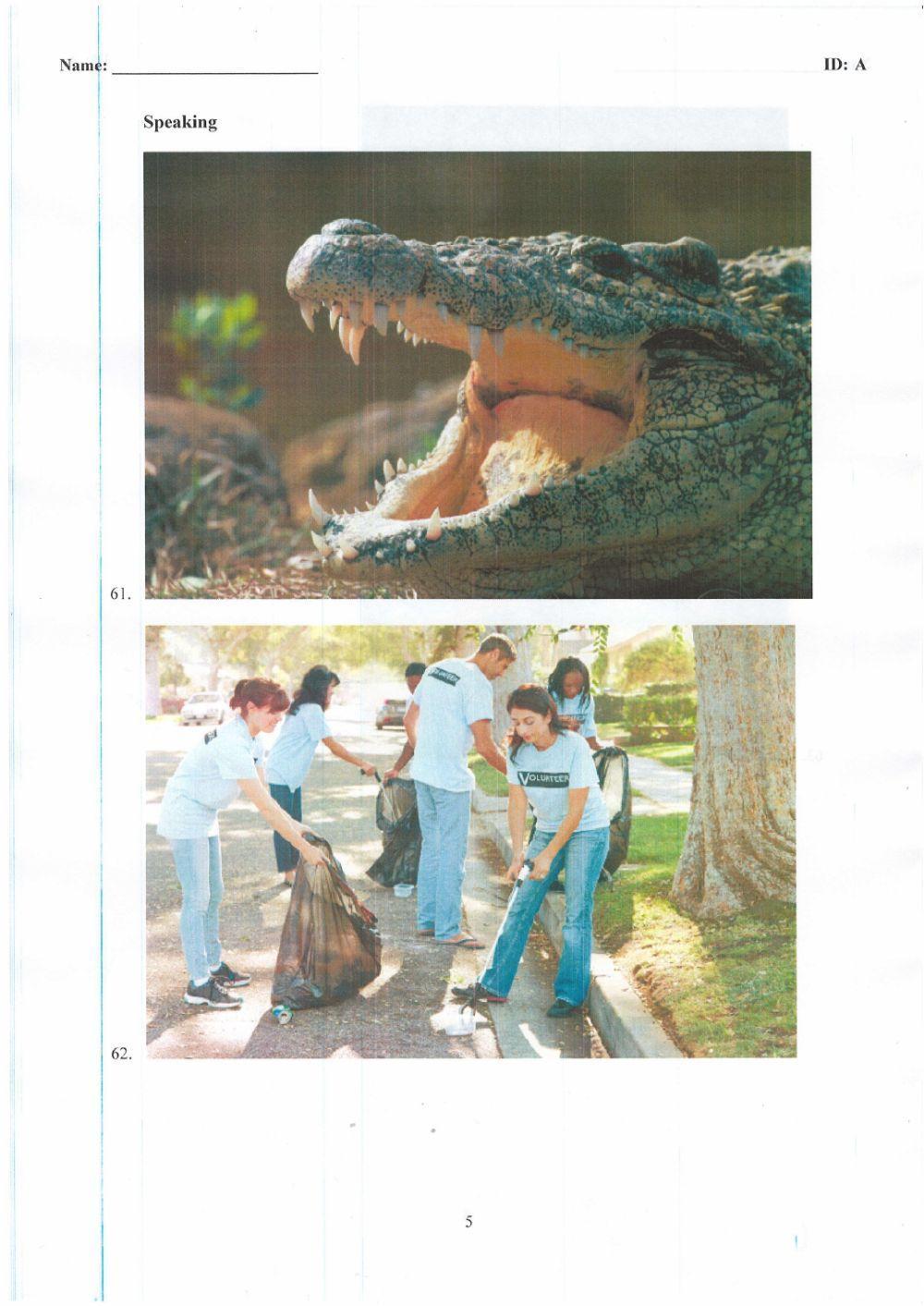 Access Placement Language Proficiency Test