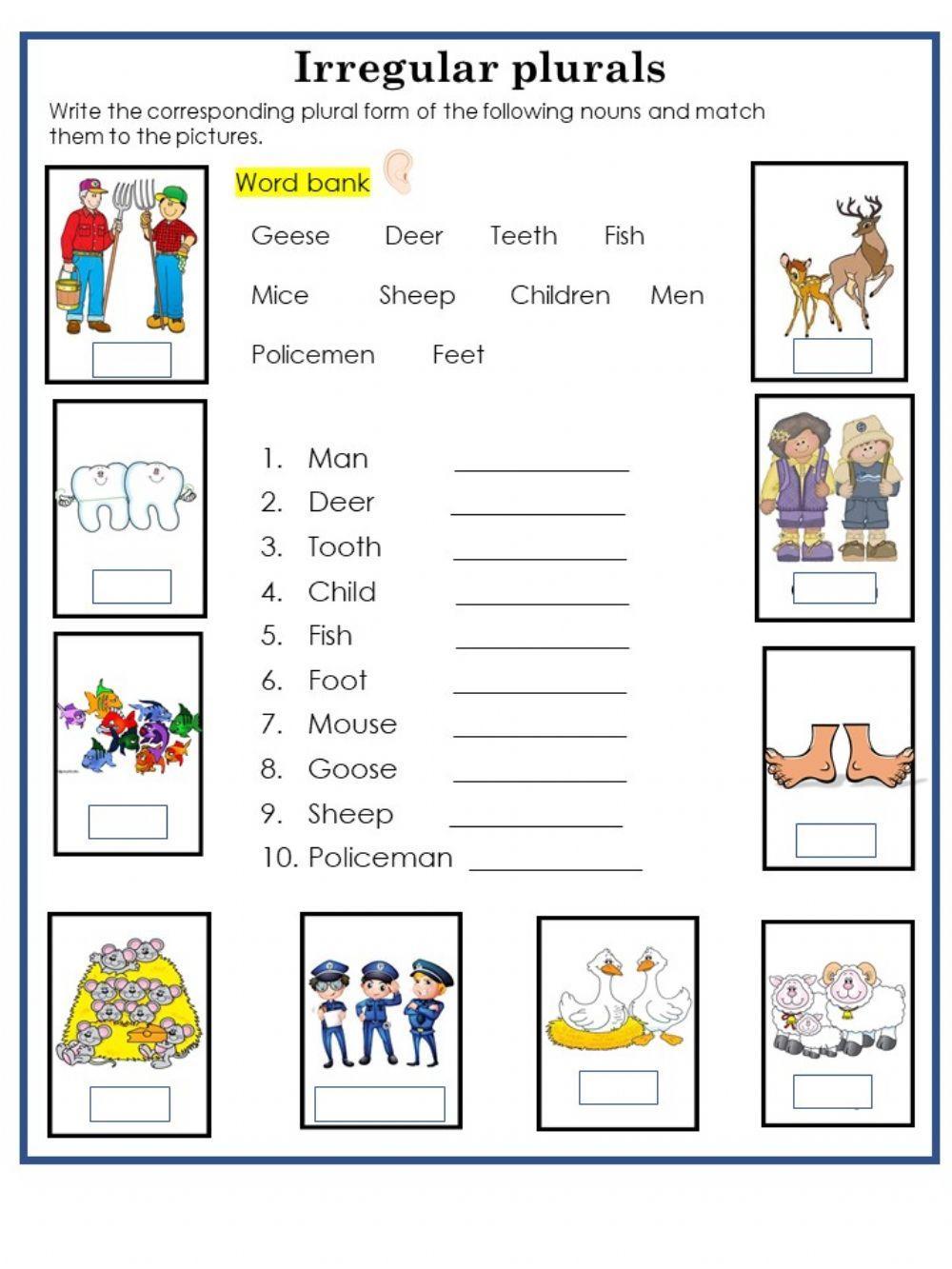 Irregular Plural Nouns Worksheet Irregular Plural Nouns Worksheet