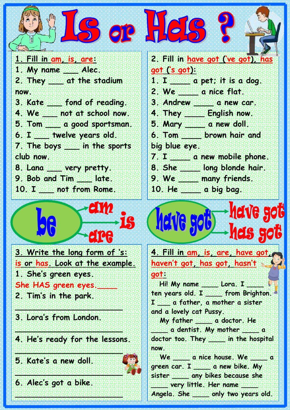 To BE vs Have-HAS got 6105148 | Cise Sakalli | Live