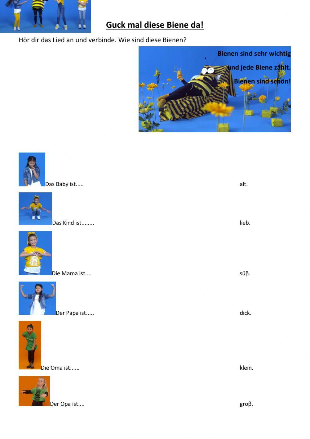 Guck mal diese Biene da! worksheet | Live Worksheets
