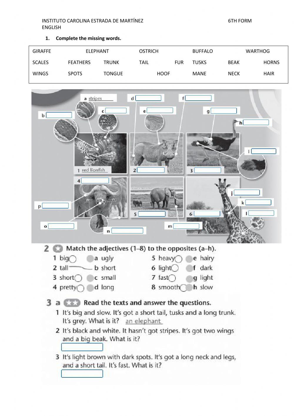 Animals online exercise for 6th form | Live Worksheets