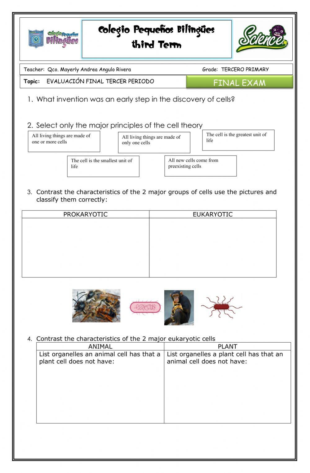 Final exam tercero- second term - science - worksheet | Live Worksheets