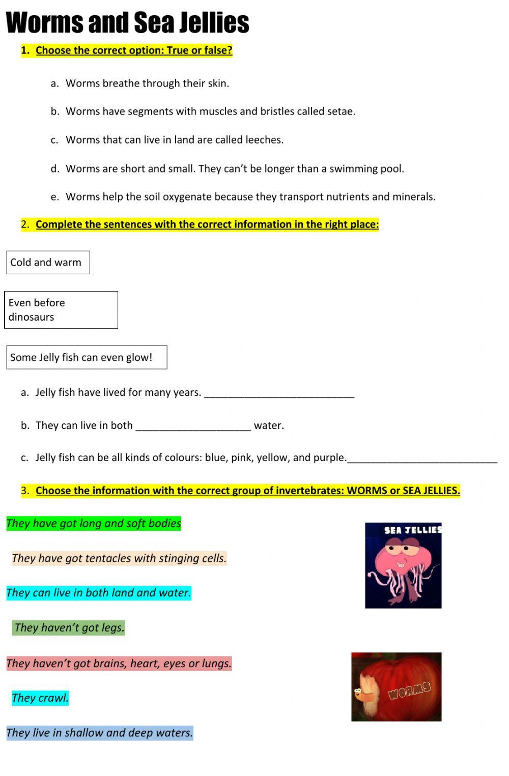 Worms and Sea Jellies worksheet | Live Worksheets