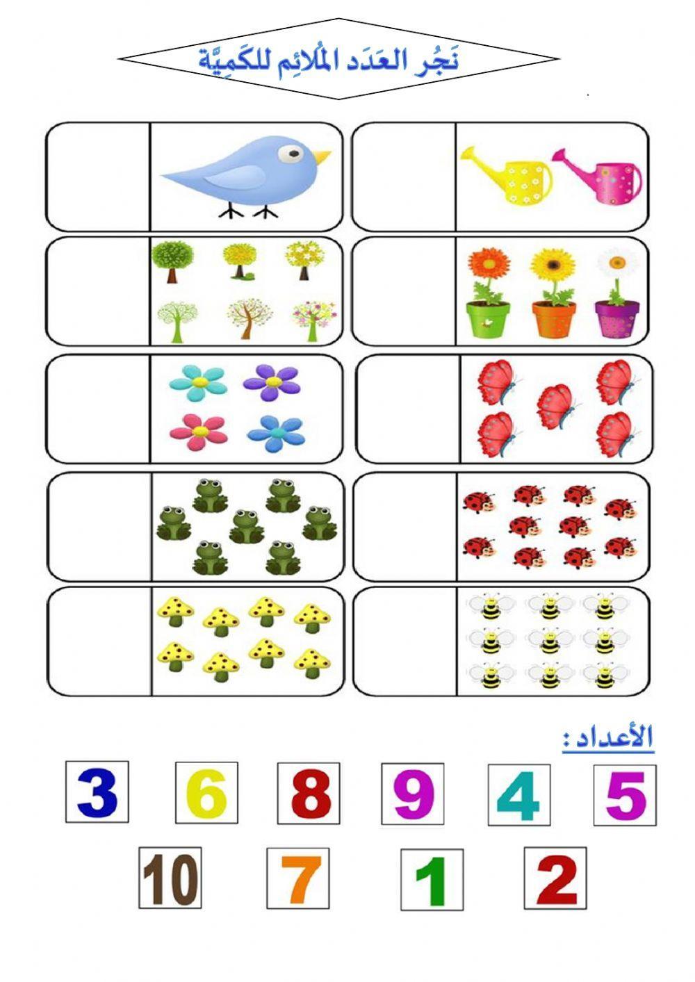 ملائمة العدد للكمية online exercise for | Live Worksheets