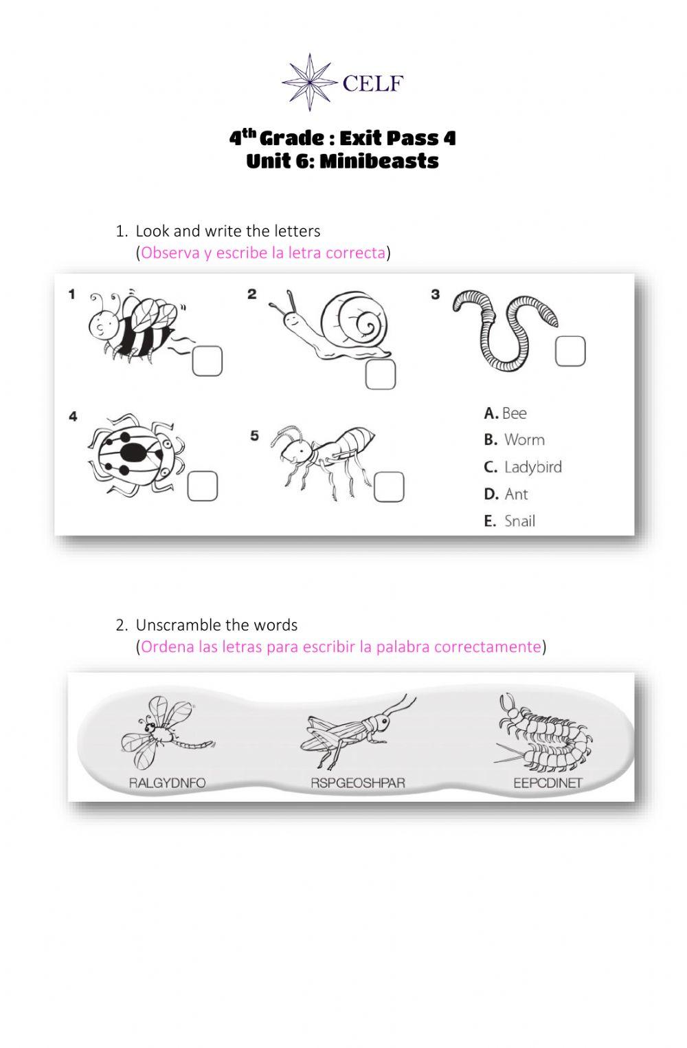 Minibeasts 1 worksheet | Live Worksheets