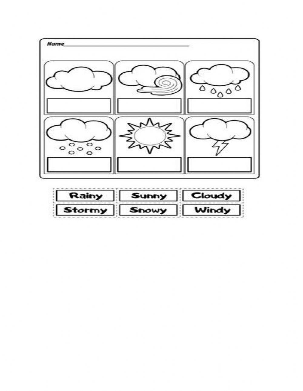 Env worksheet | Live Worksheets