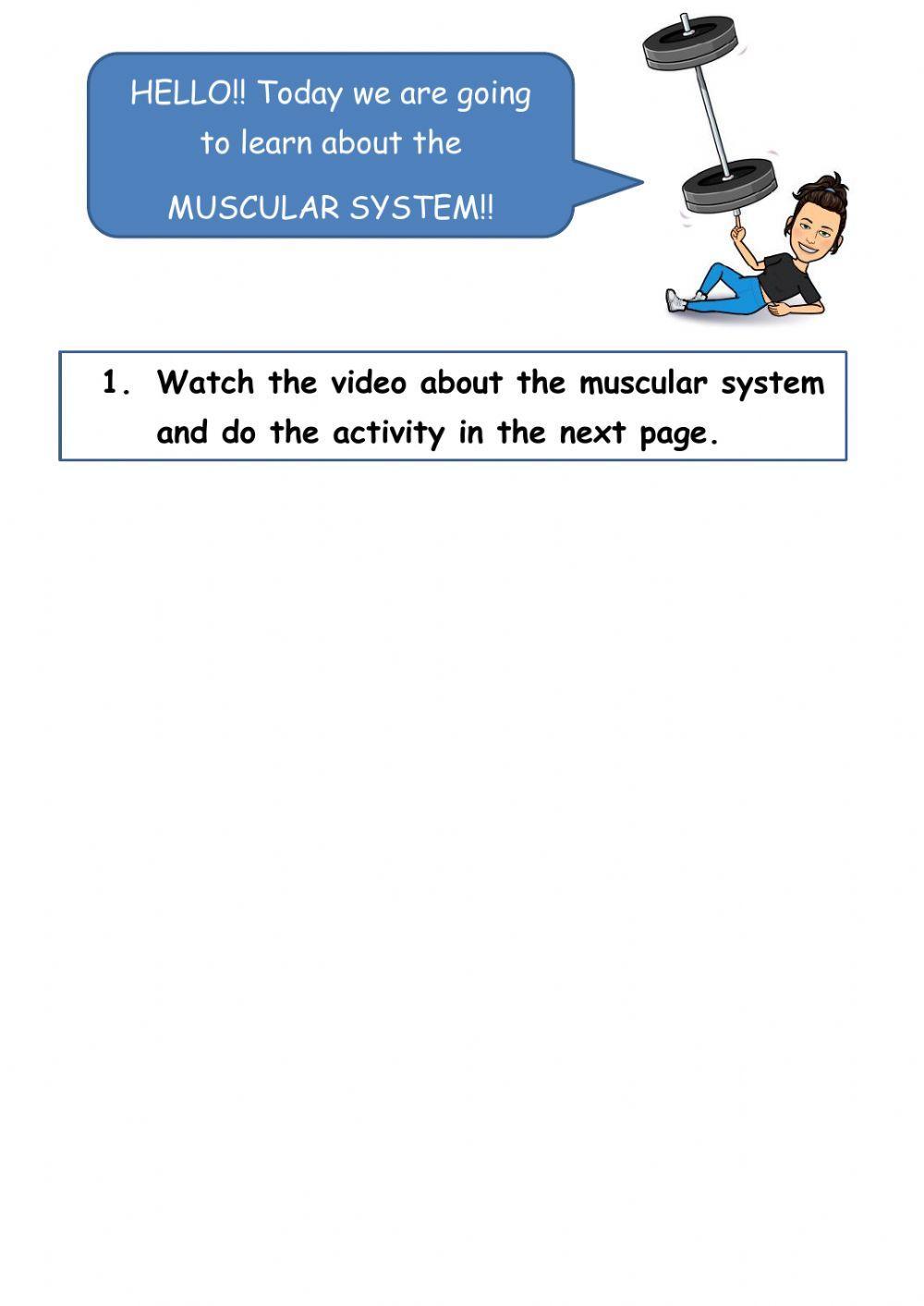 Muscular system | Free Interactive Worksheets | 406154