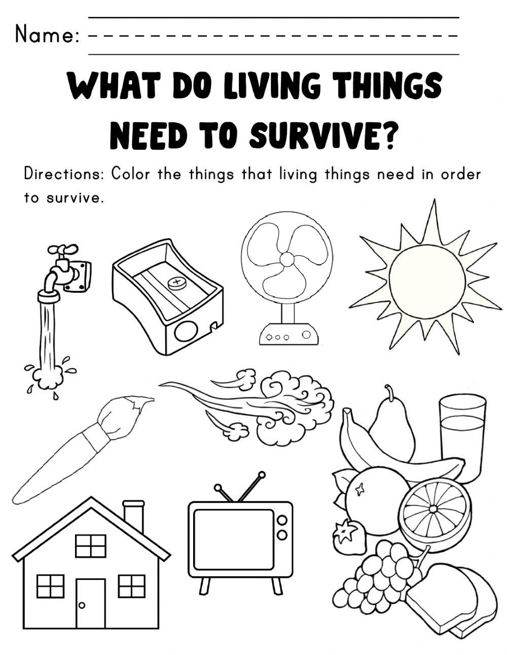 what living thing need to grow ? 6117500 | Rafeeh | Live