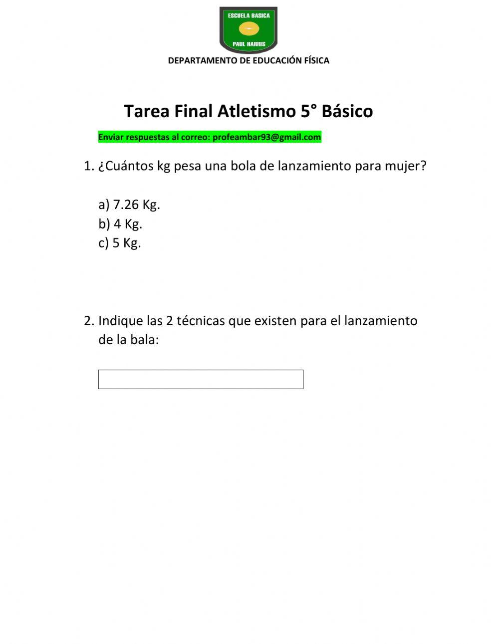 Tarea Final 5° Básico interactive worksheet | Live Worksheets