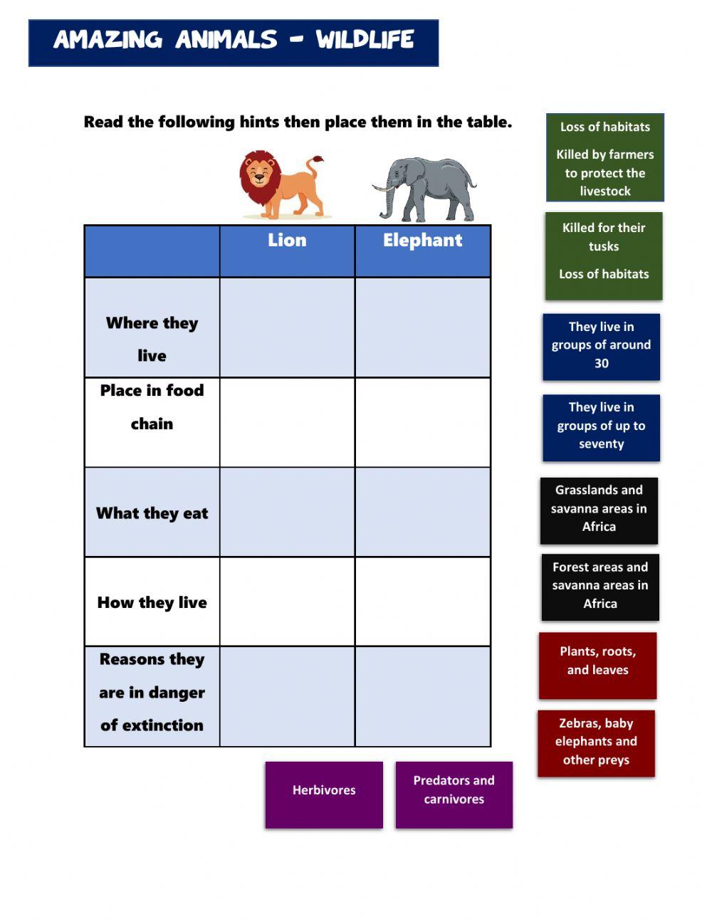 Amazing animals - wildlife online exercise for | Live Worksheets