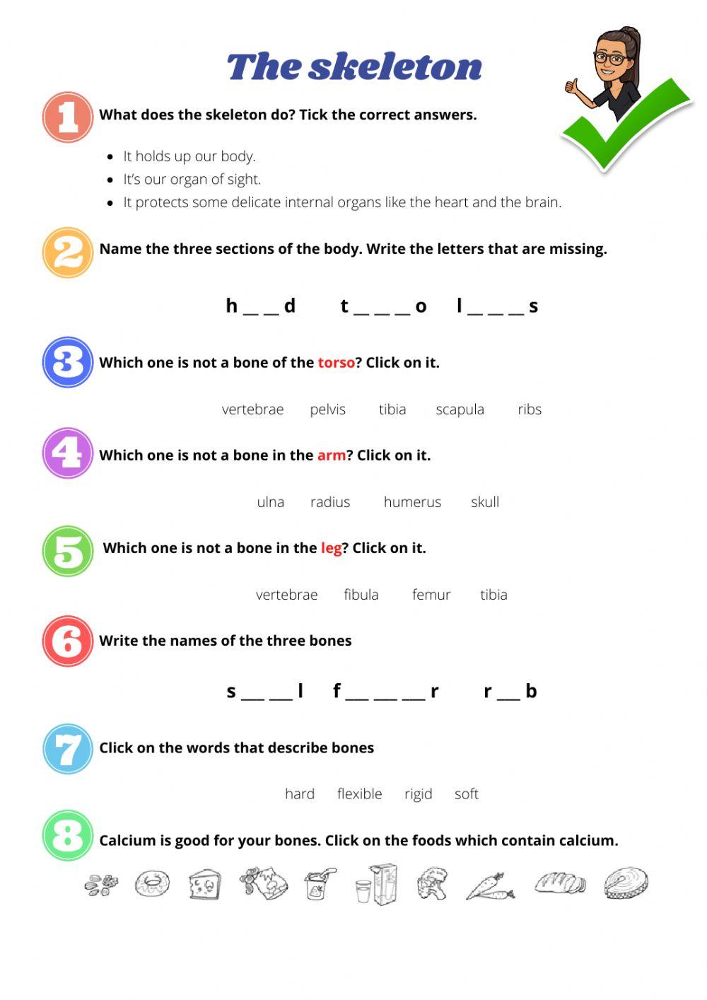 The skeleton | Free Interactive Worksheets | 463617