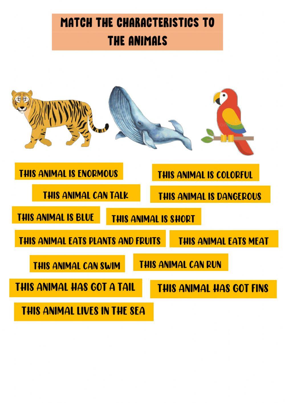 Animals and Cha… | Free Interactive Worksheets | 463709