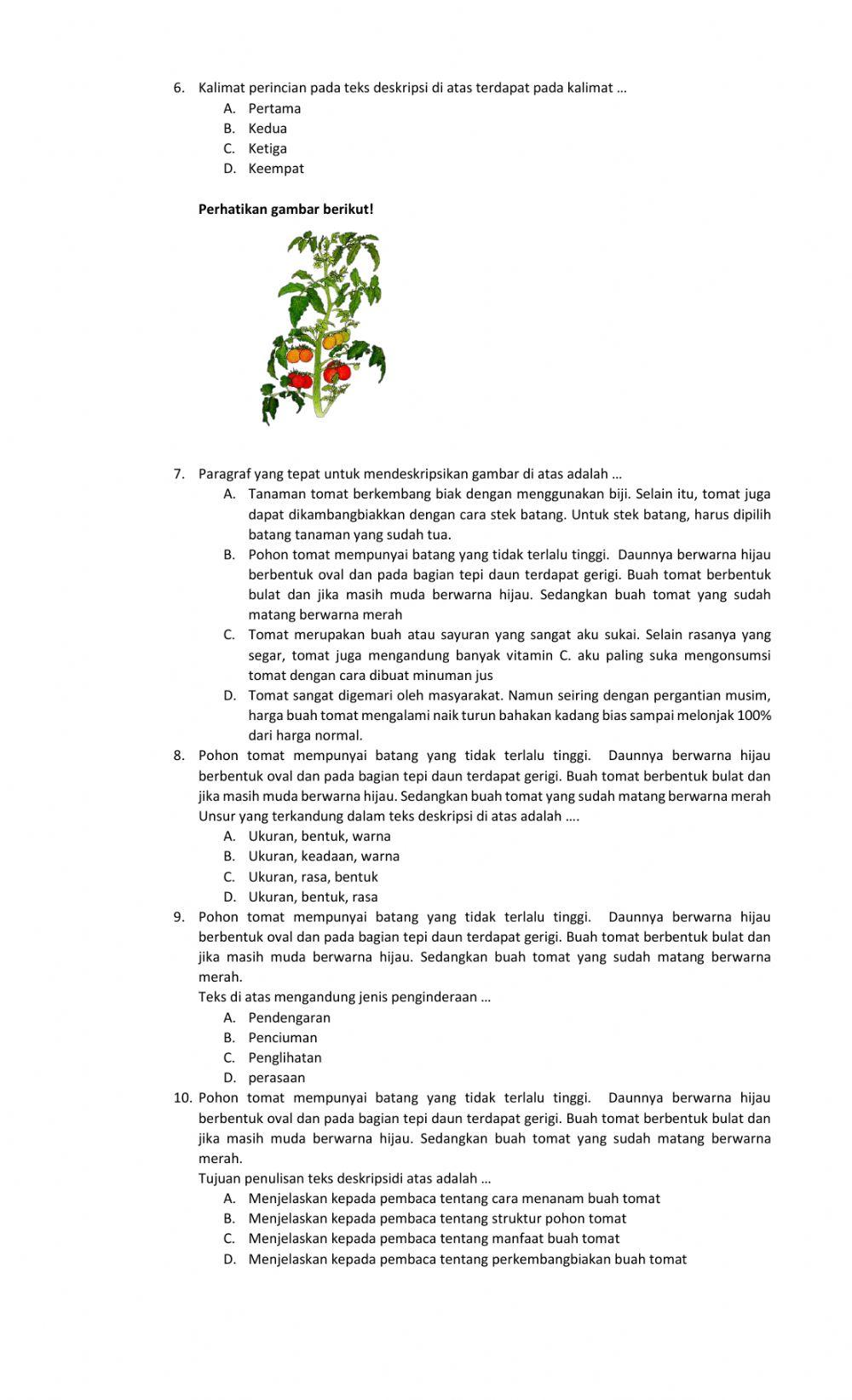 Teks Deskripsi | Free Interactive Worksheets | 488185