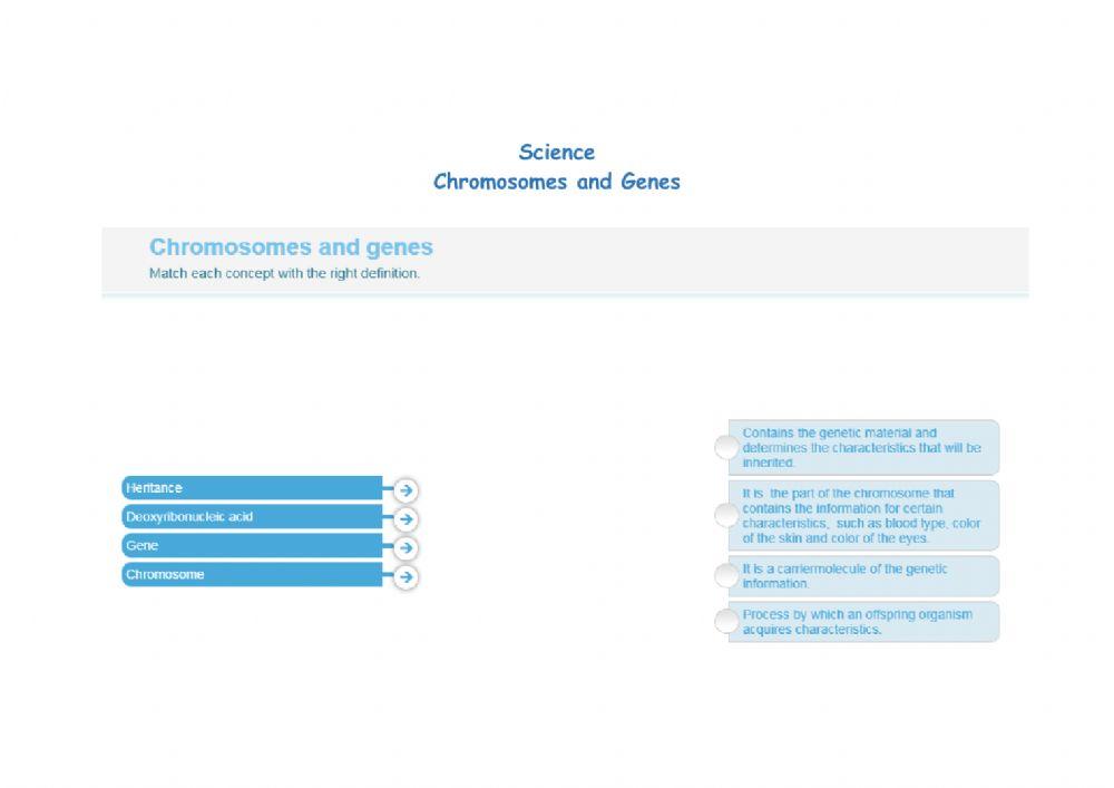 Chromosomes And Genes Worksheet Live Worksheets chromosomes-and-genes-worksheet-live-worksheets