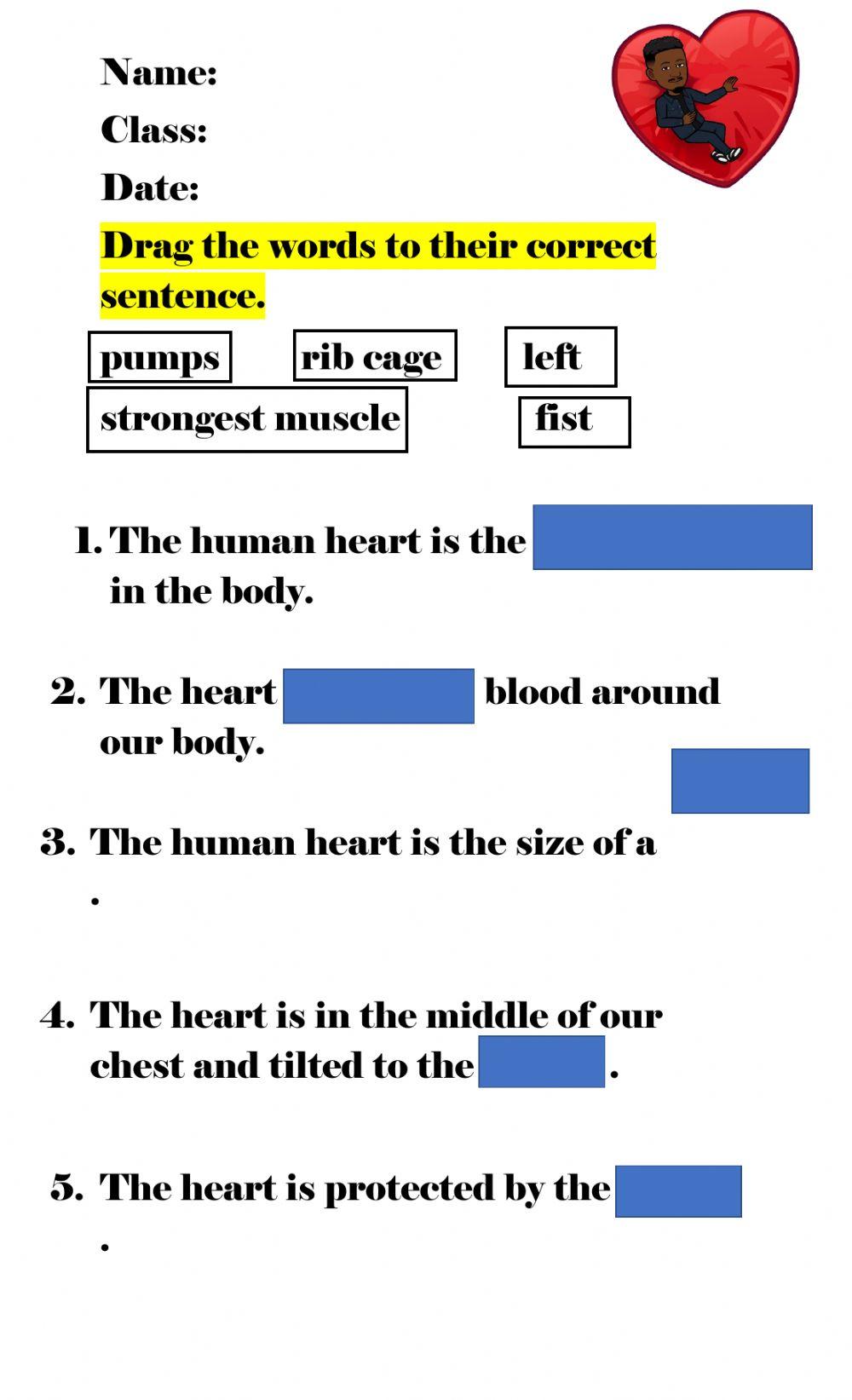 Heart | Free Interactive Worksheets | 490117
