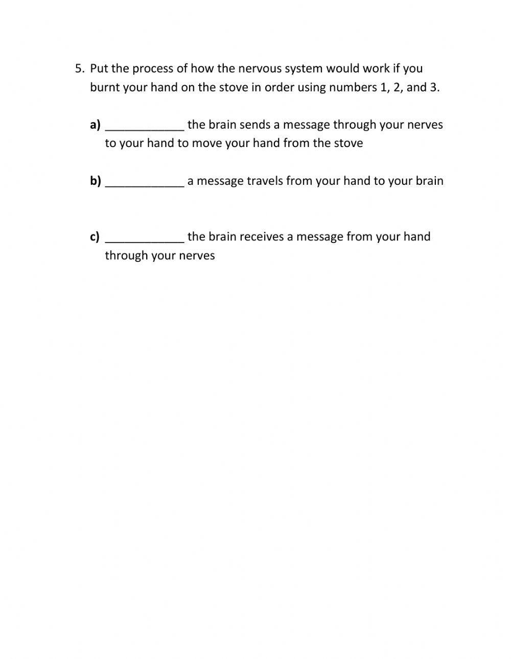 The Nervous Sys… | Free Interactive Worksheets | 490972