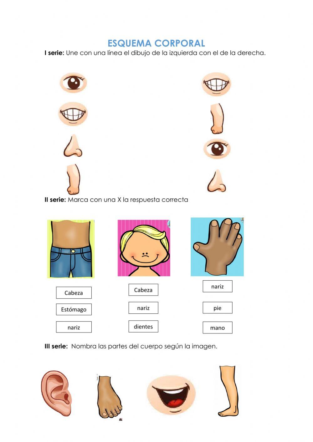Esquema corporal 1026 | MMichelle92 | Live Worksheets