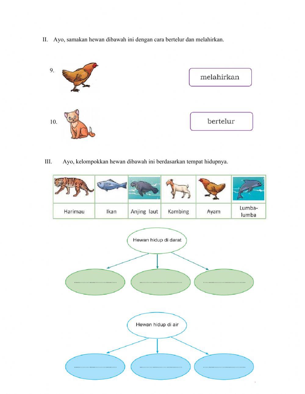 Hewan activity | Live Worksheets