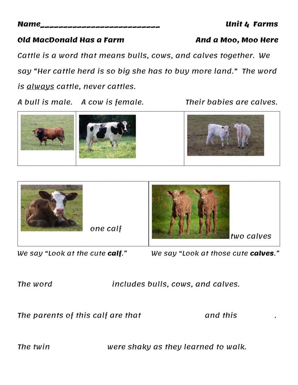 Cattle Vocabula… | Free Interactive Worksheets | 491976