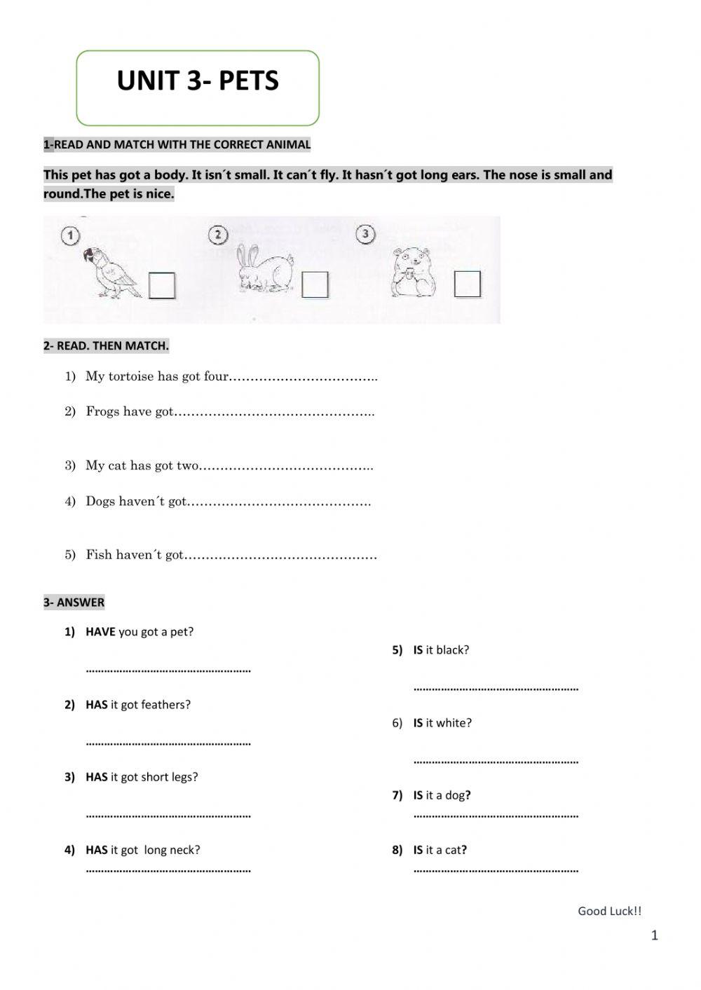 Pop2-Unit 3-Pets | Free Interactive Worksheets | 492882