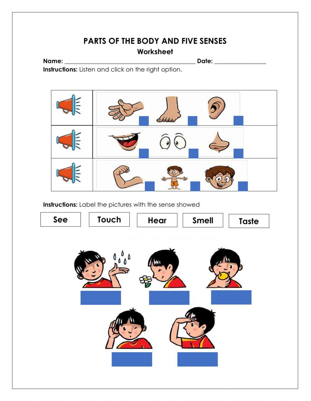Body Parts and … | Free Interactive Worksheets | 494337