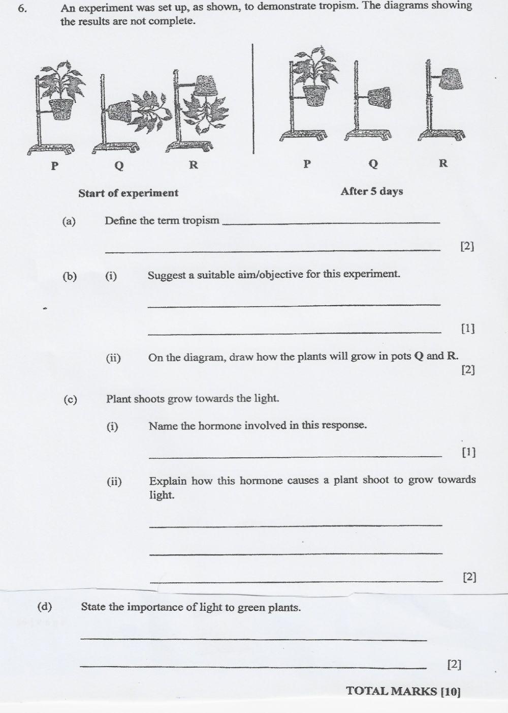 Tropism 1 online exercise for | Live Worksheets