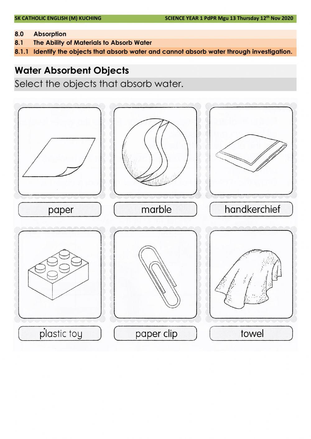 SKCE Science Year 1 Topic 8.0 Absorption PdPR Mgu 13