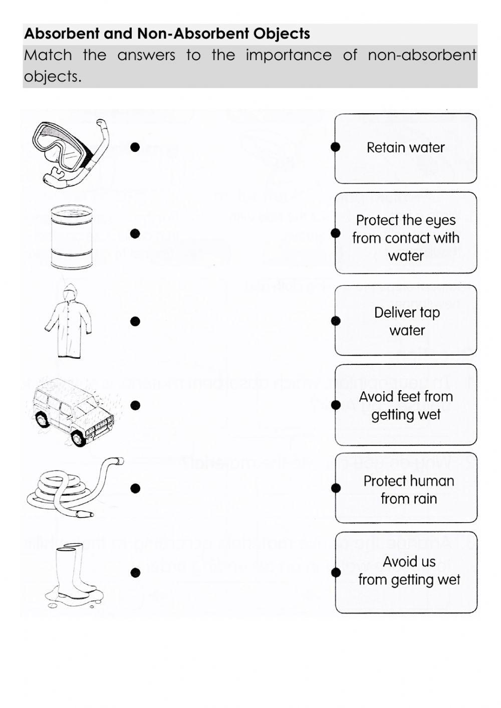 SKCE Science Year 1 Topic 8.0 Absorption PdPR Mgu 13