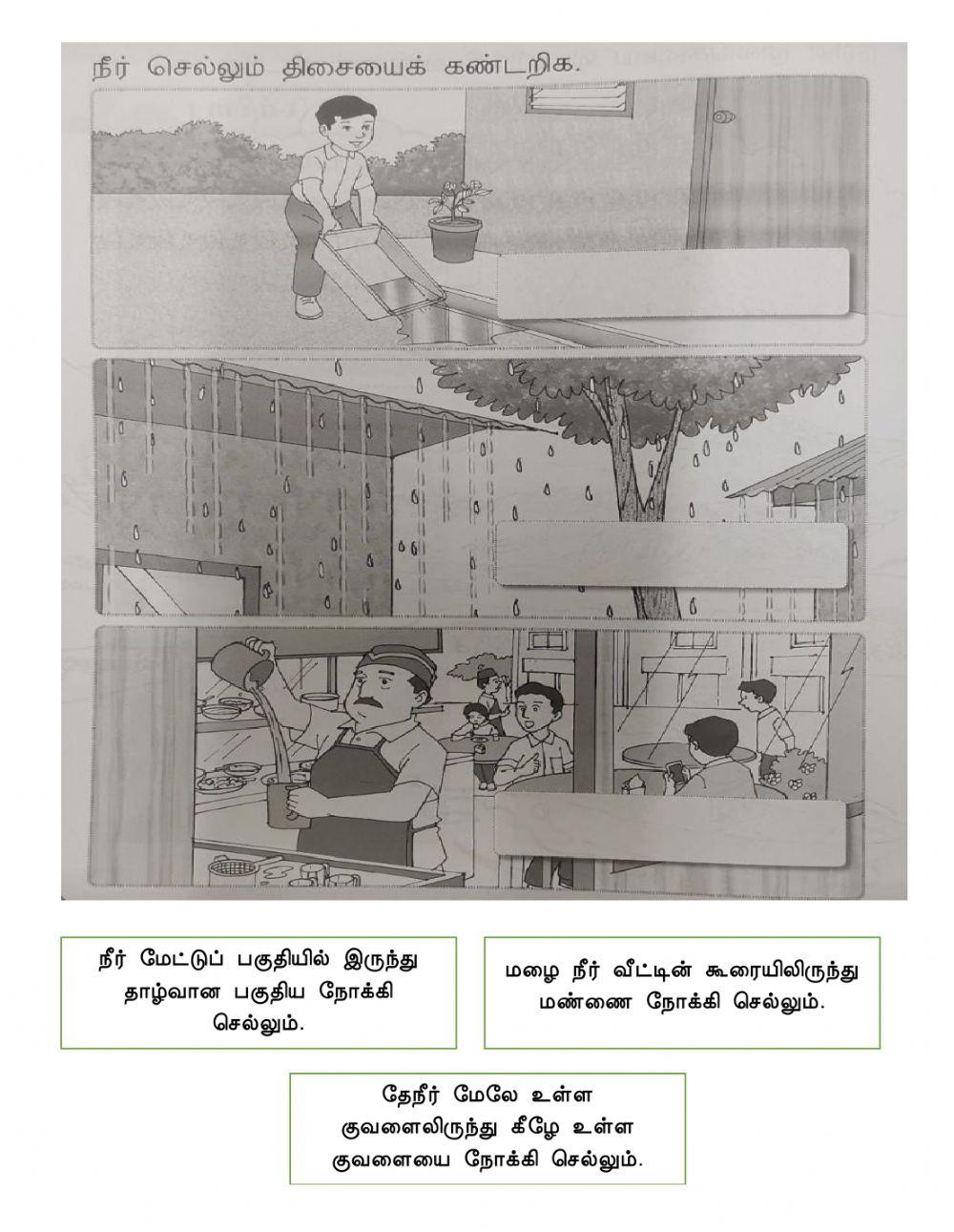 Sains world year 2 interactive worksheet | Live Worksheets