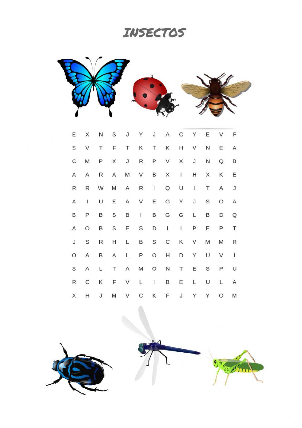 496153 | Sopa de letras insectos | ROCIO