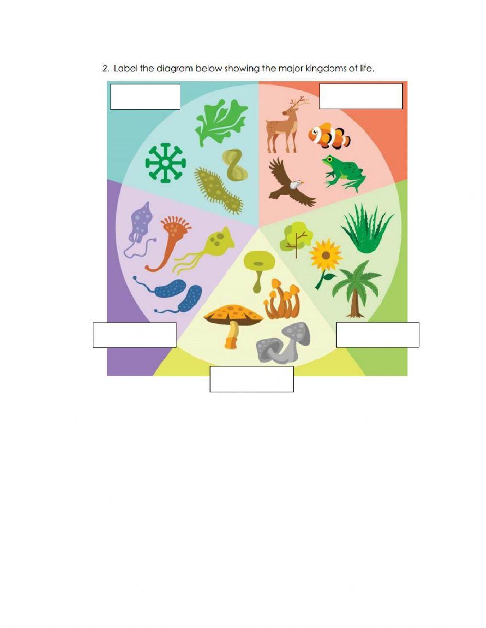 Major Kingdoms worksheet | Live Worksheets