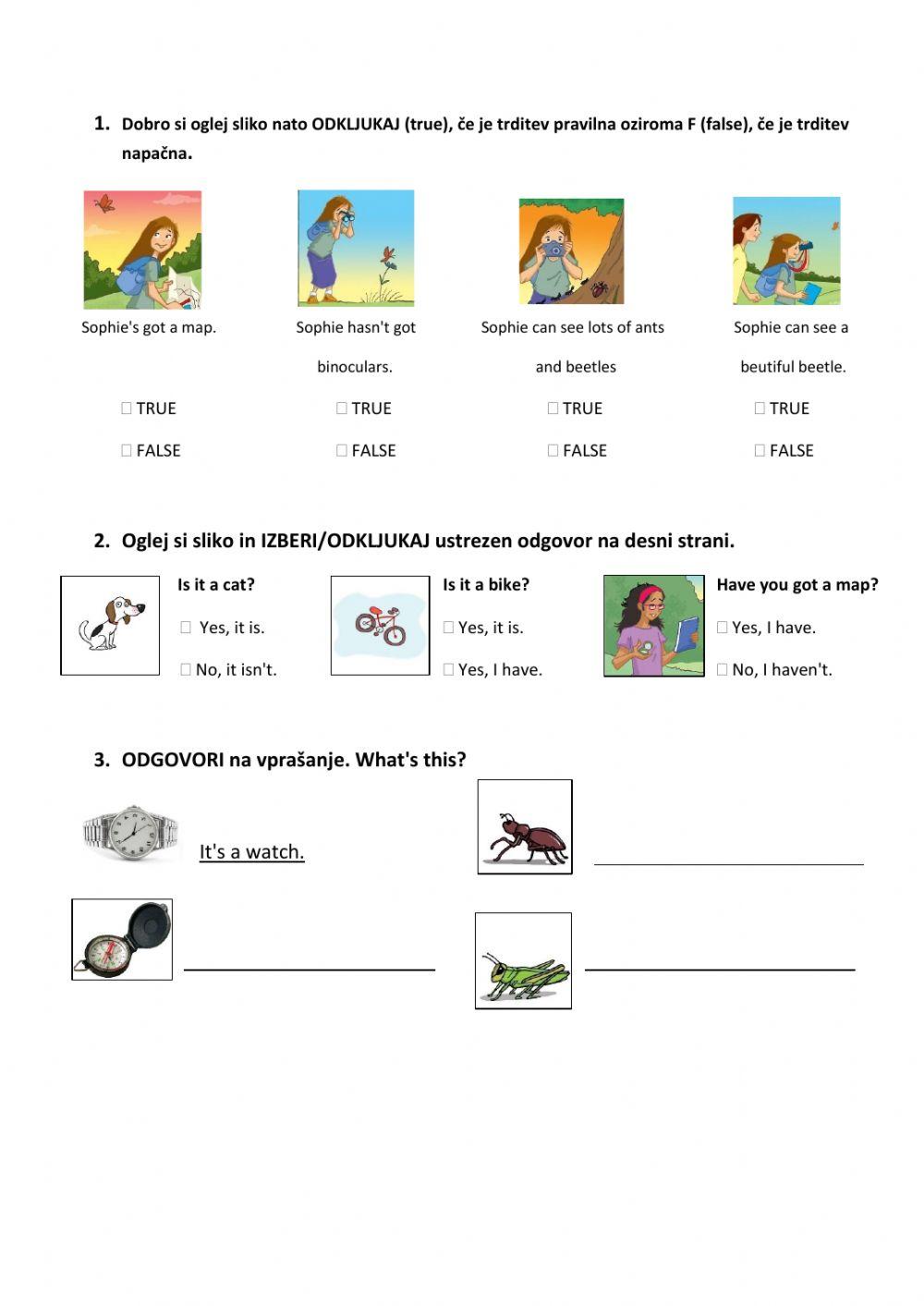 YOUNG EXPLORERS-UNIT 1 online exercise for | Live Worksheets