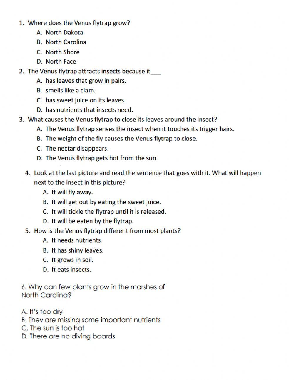 Ask and answer … | Free Interactive Worksheets | 497679