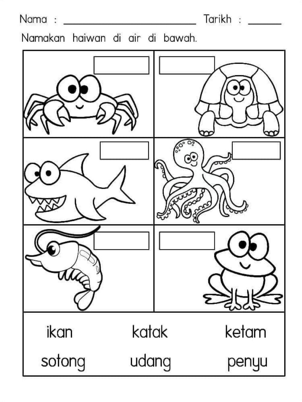 Sains- hidupan air worksheet | Live Worksheets