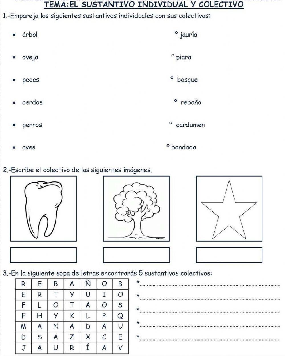 499391 | Sustantivos Individuales y Colectivos