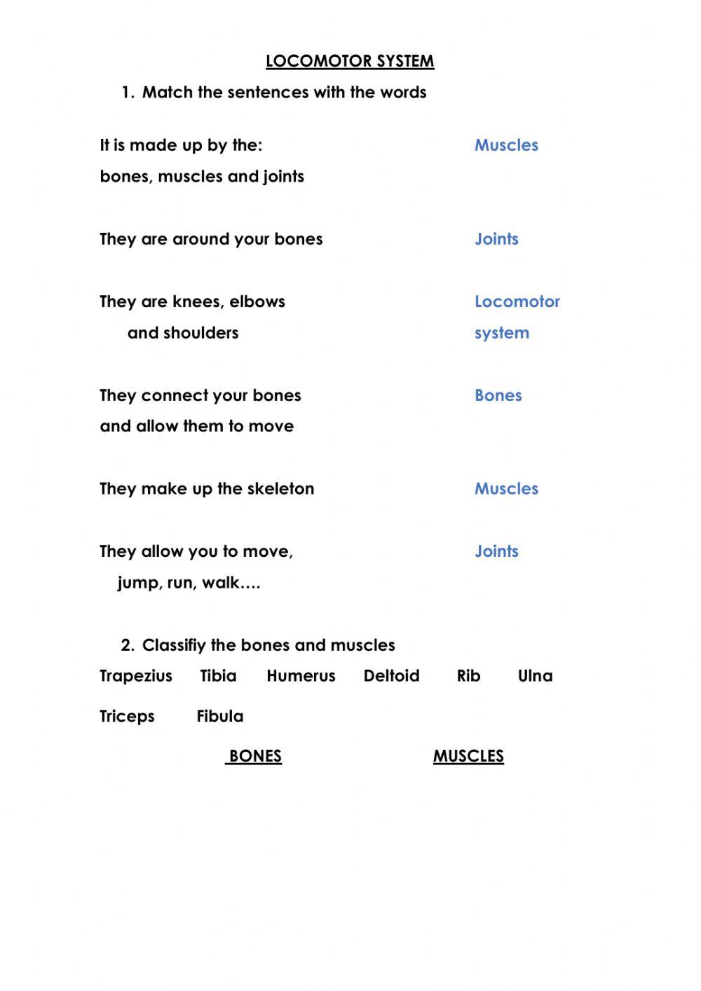 Locomotor system online activity | Live Worksheets