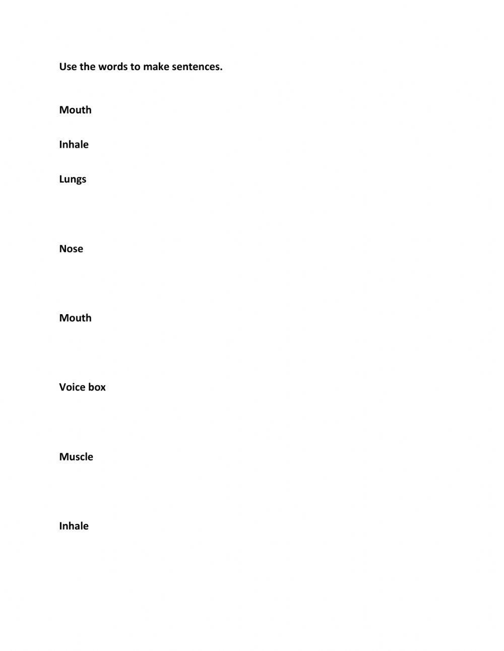 500186 | Label the Respiratory System | Keneshia