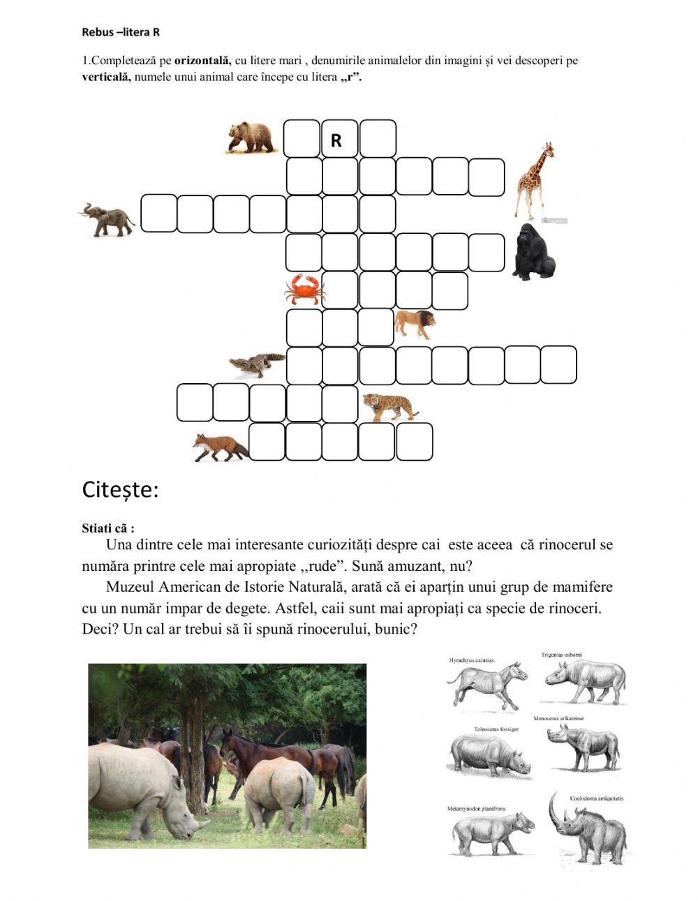 Rebus litera r worksheet | Live Worksheets