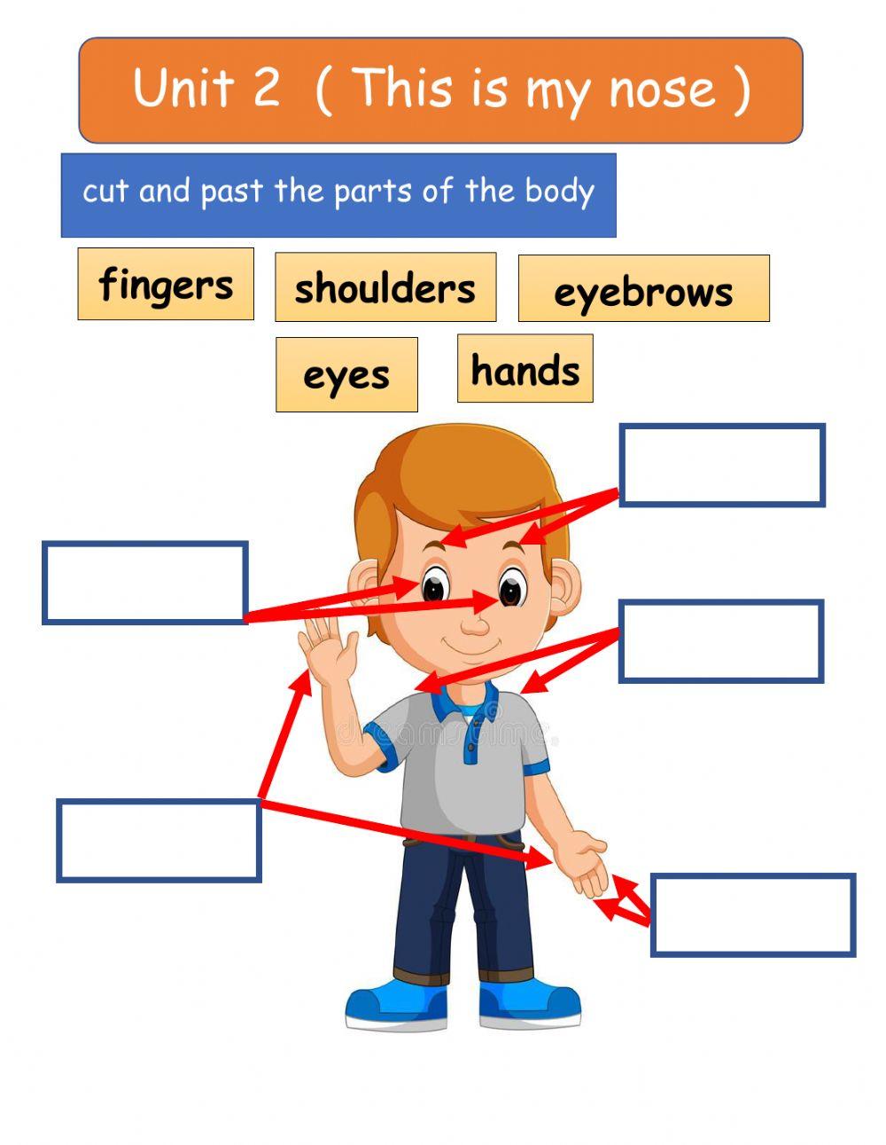 Grade 2 unit 2 lesson 3 This is my nose 4427350