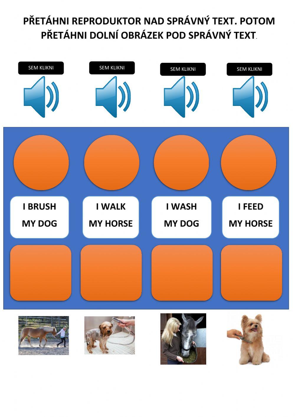 Verbs animals interactive worksheet | Live Worksheets